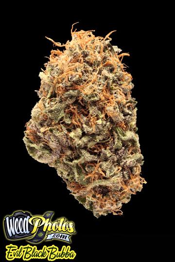 Blog Archives - downdload